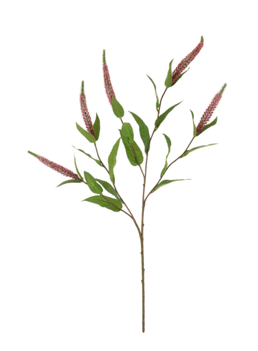 Veronica Spray Pink - Byfords